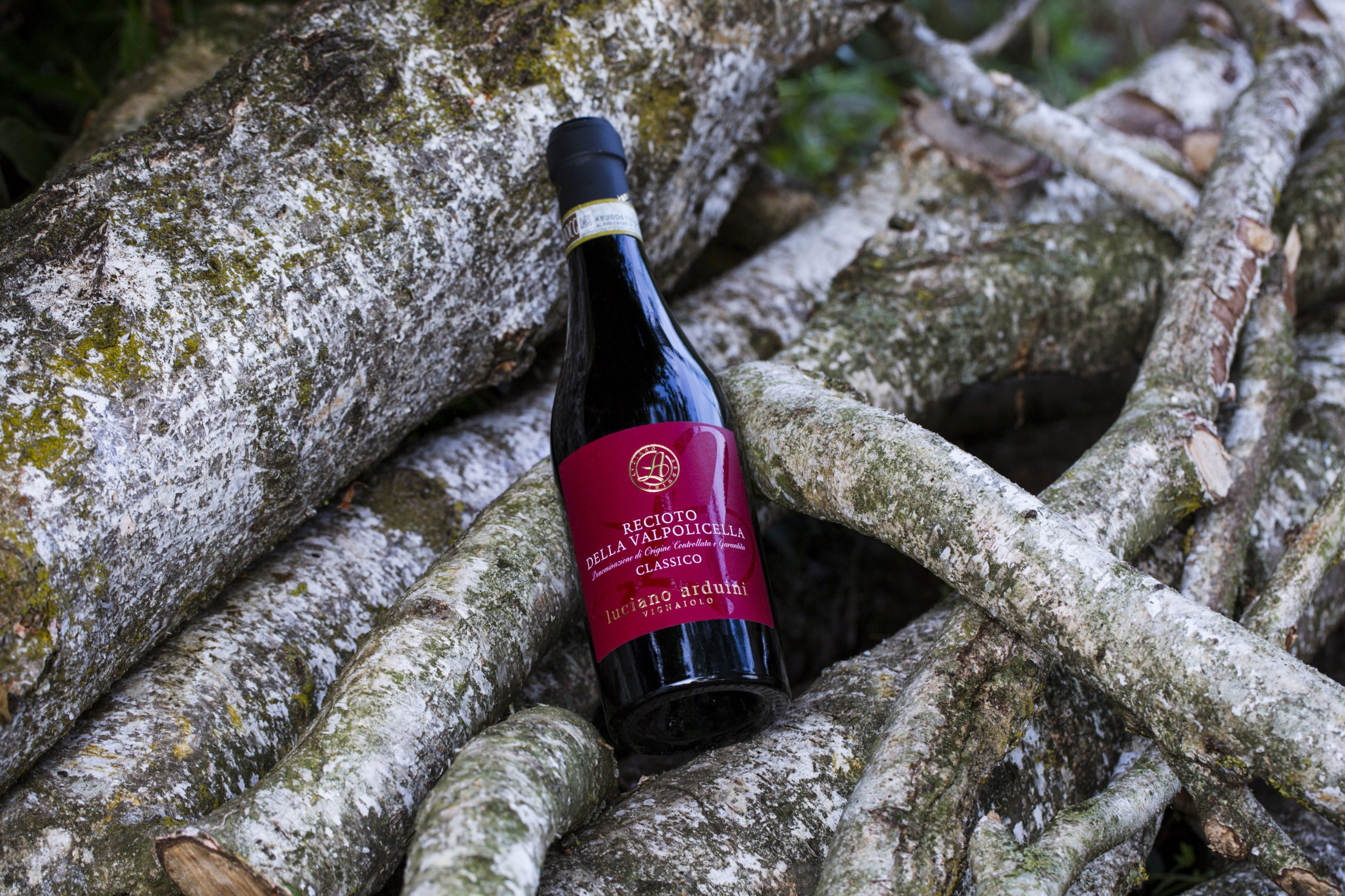 Recioto Valpolicella DOCG Classico Arduini 2020 - Ti.Wine