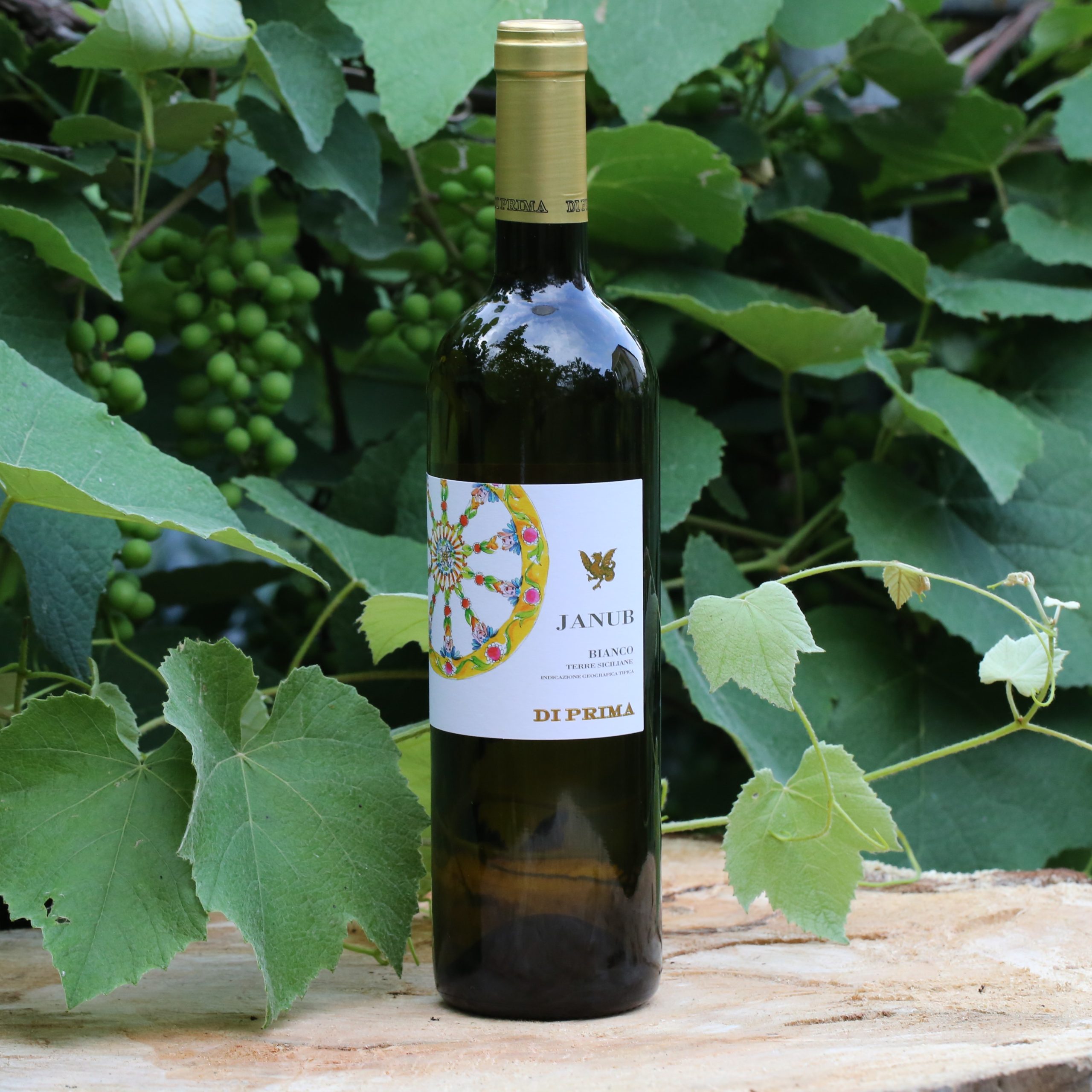 'Janub' Moscato Bianco Di Prima 2022 - Ti.Wine