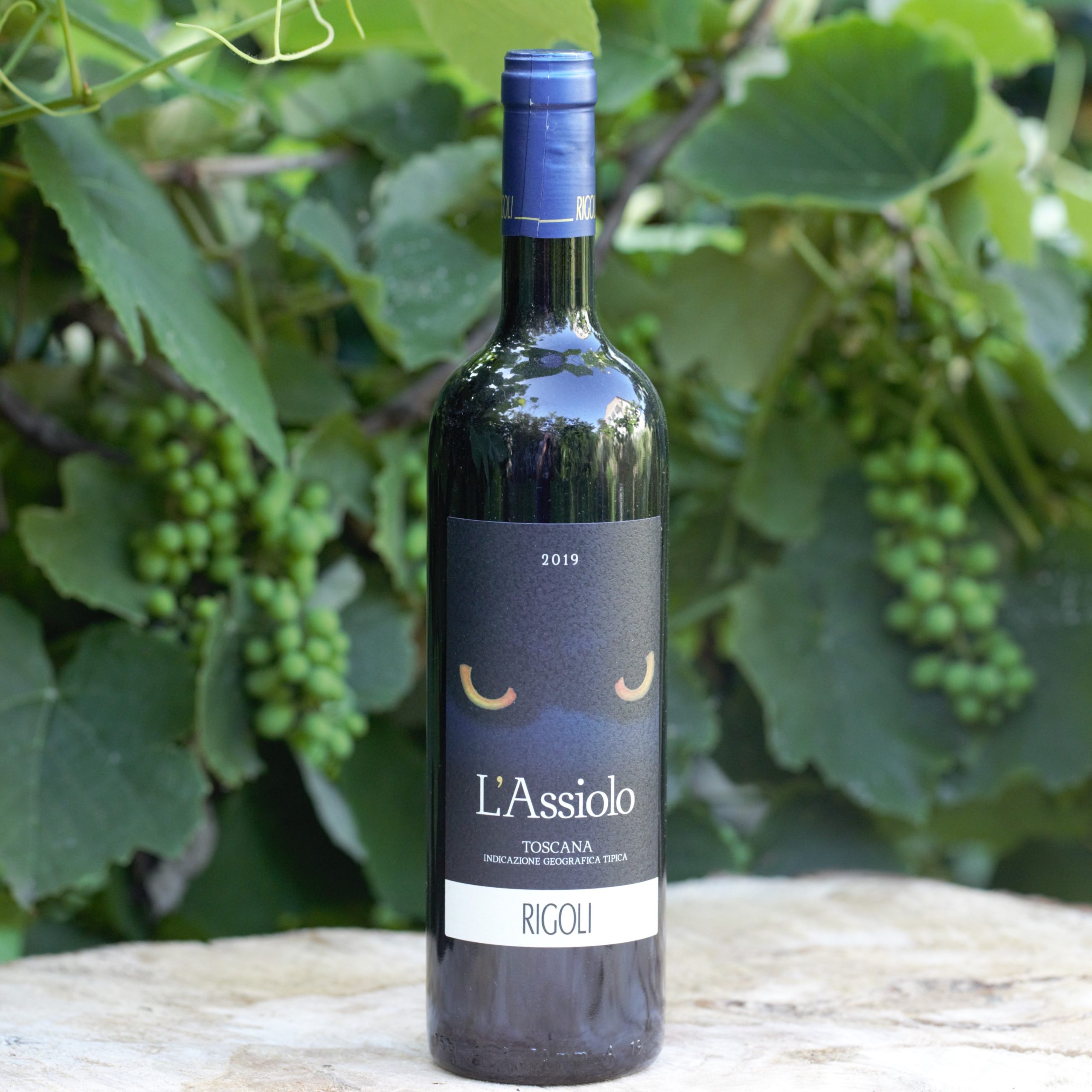 'L'Assiolo' Rigoli 2021 - Ti.Wine