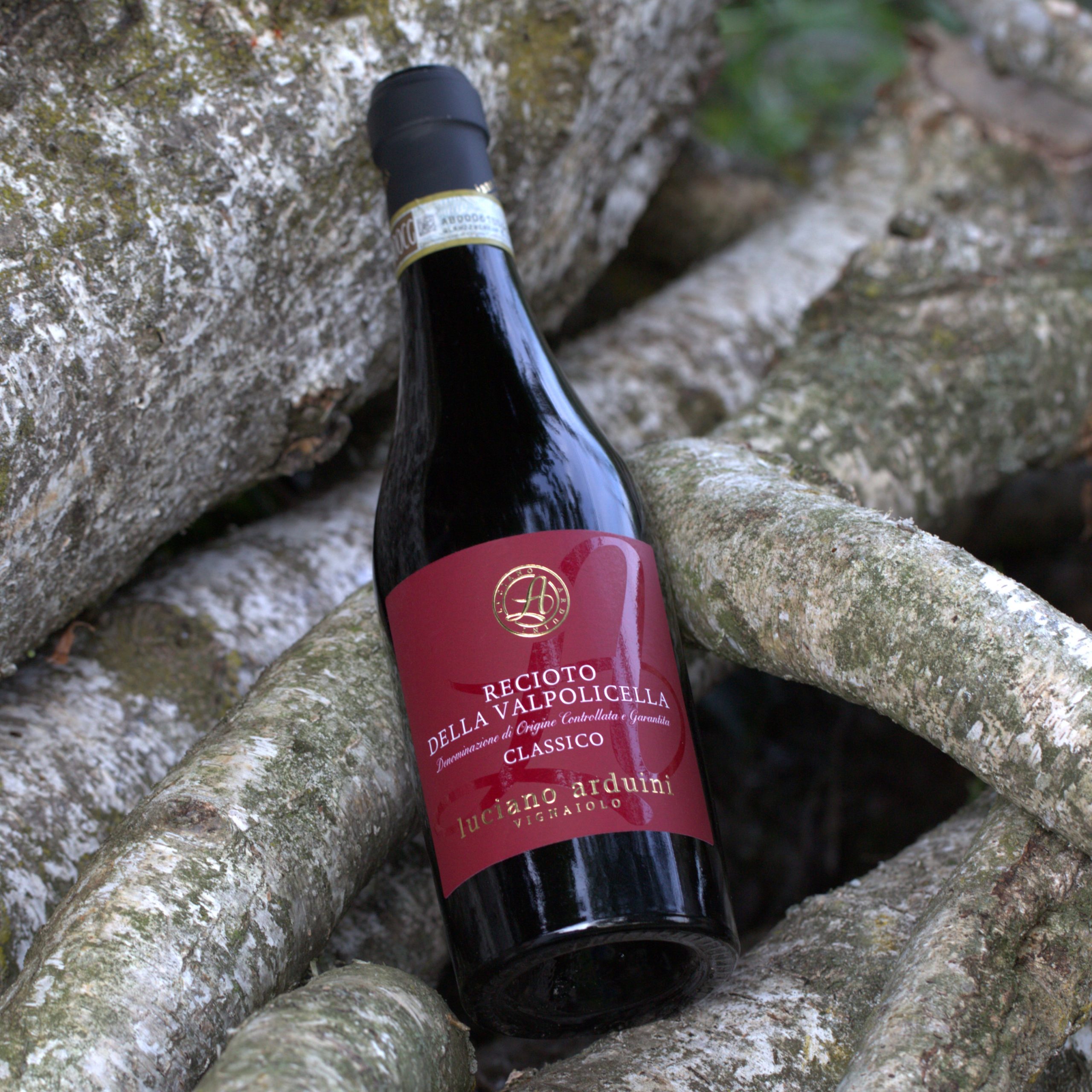Recioto Valpolicella DOCG Classico Arduini 2021 - Ti.Wine